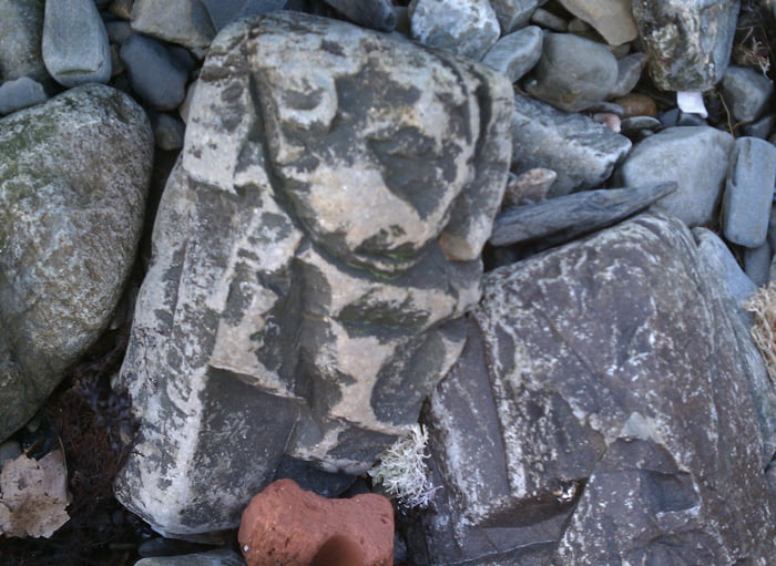 This beach rock looks like a dog. - 9GAG