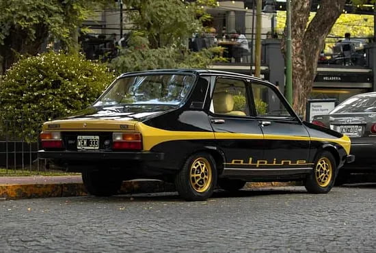 Spotted an almost unique R12 alpine in ARG - 9GAG