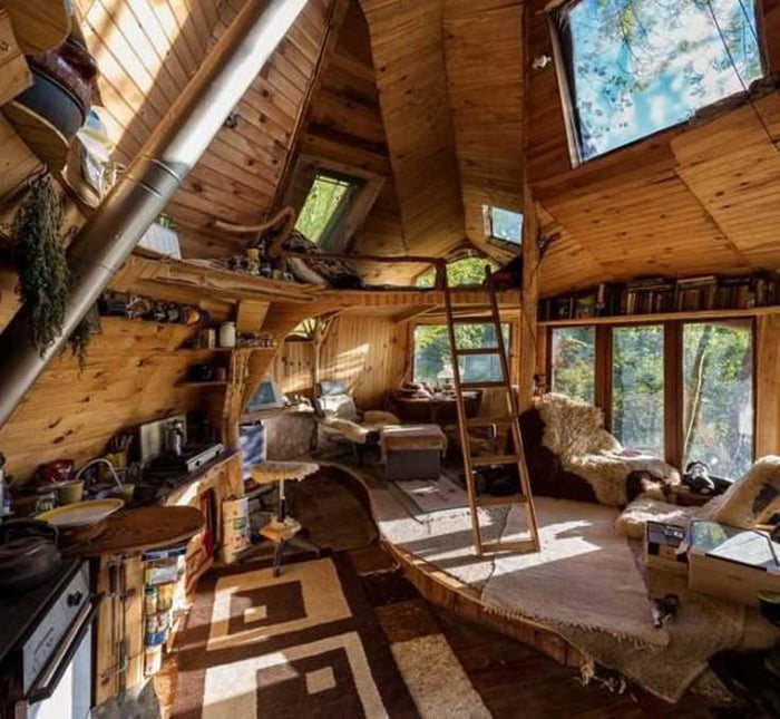 Interior of a one-room treehouse - 9GAG