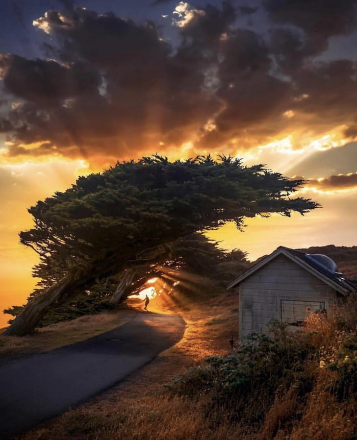 Sunset at Point Reyes Station, California - 9GAG