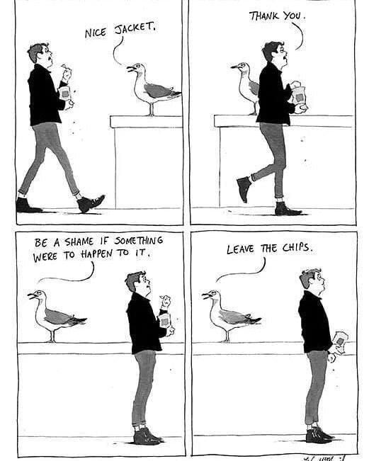 Bird Mafia - 9GAG