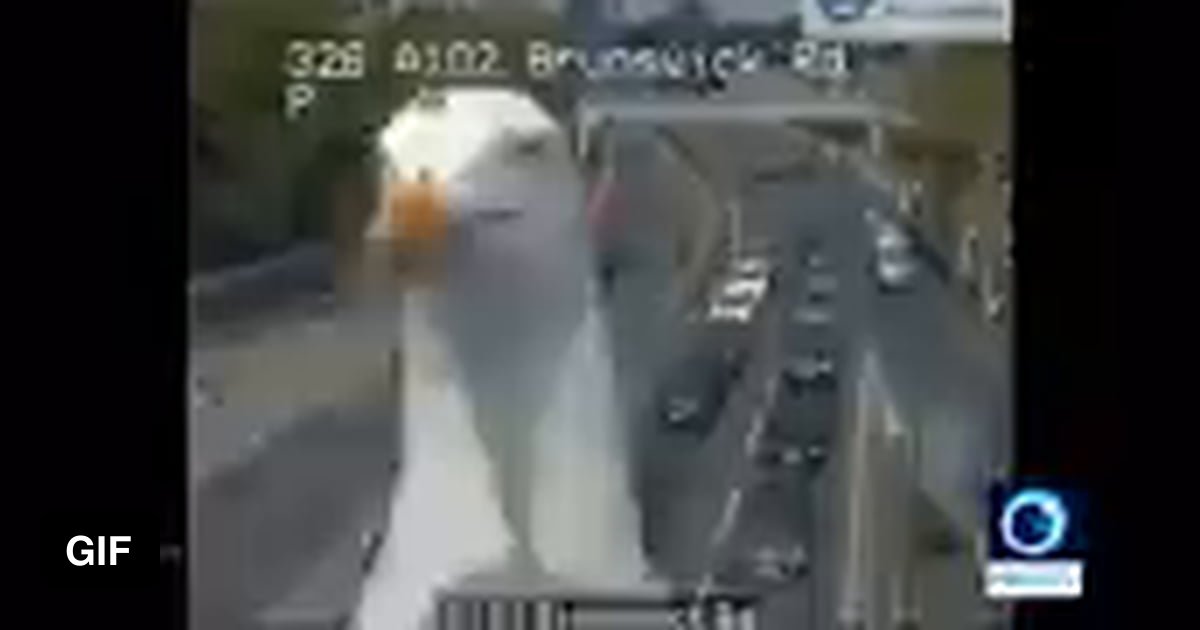 This a camera?!?! - 9GAG