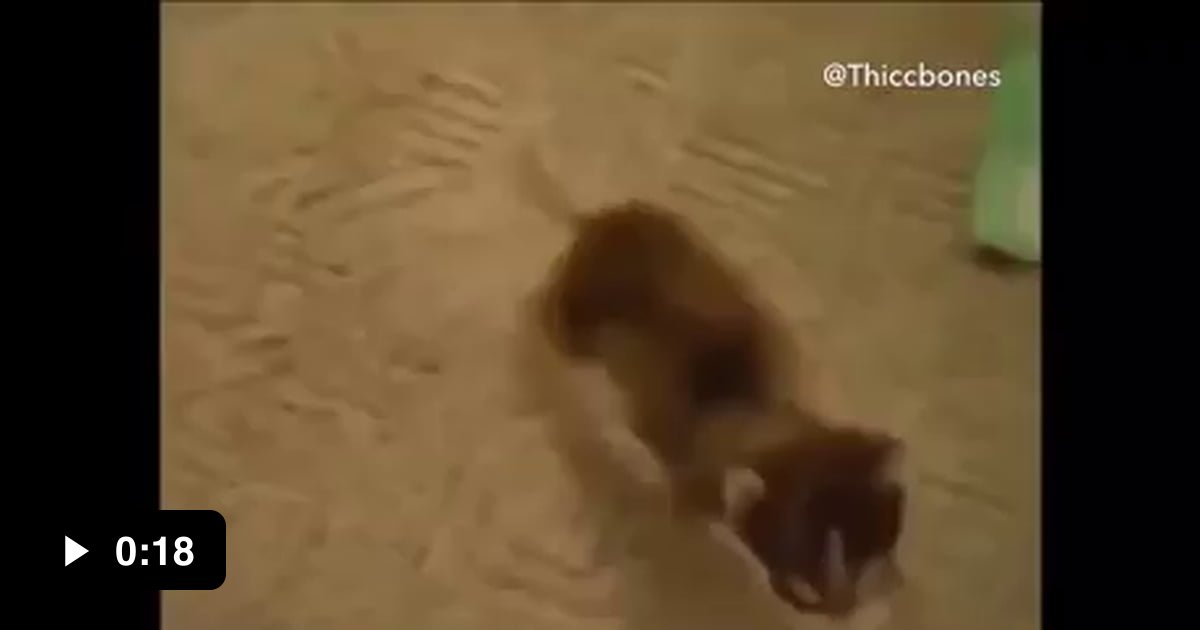 This one always bring me joy - 9GAG