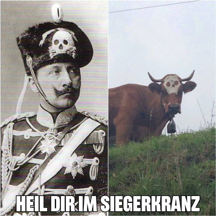 The Kaiser is back. Now he is a cow but after all he is alive - 9GAG