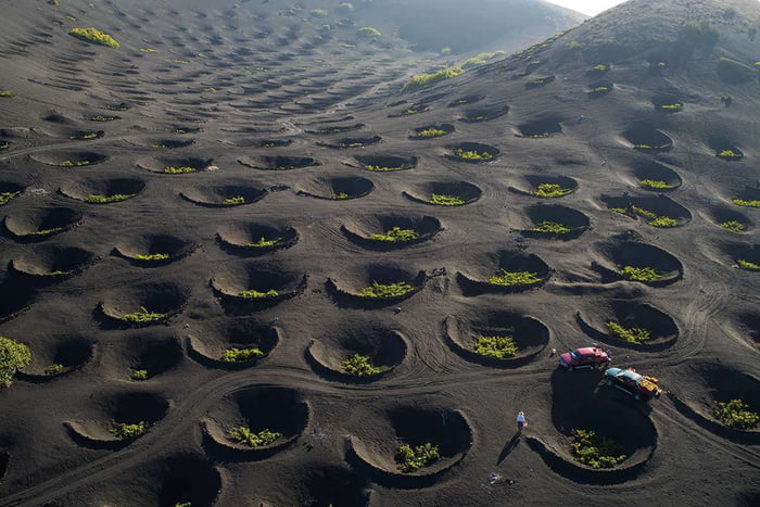 Vineyards off the coast of Africa on a volcanic island - 9GAG