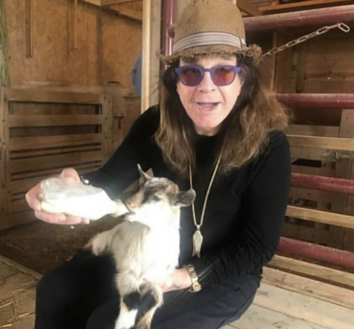 Ozzy Osbourne Pigeon