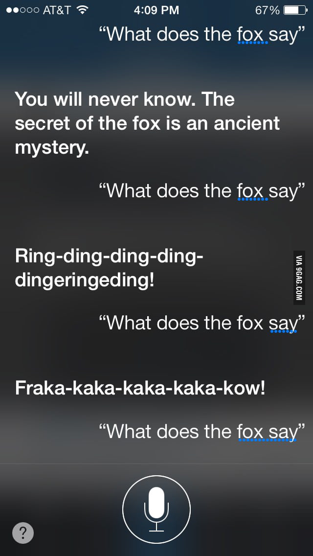 What does the fox say? Ask siri! - 9GAG