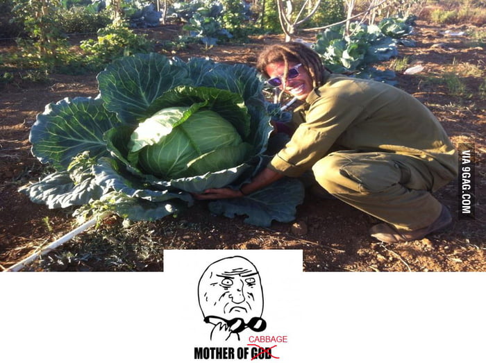 Just my brother in the army with a cabbage - 9GAG