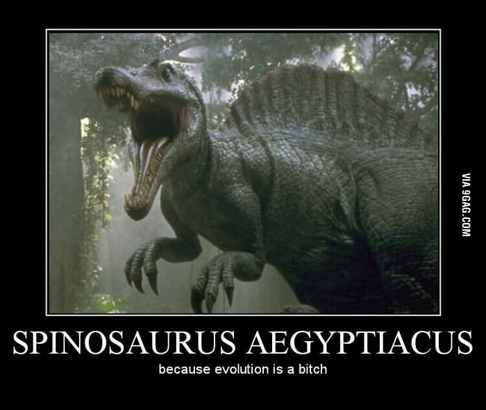 Evolution really messed up this time. - 9GAG