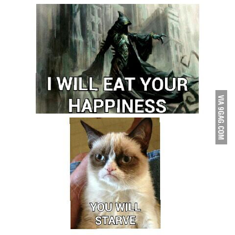 Grumpy cat strikes again - 9GAG