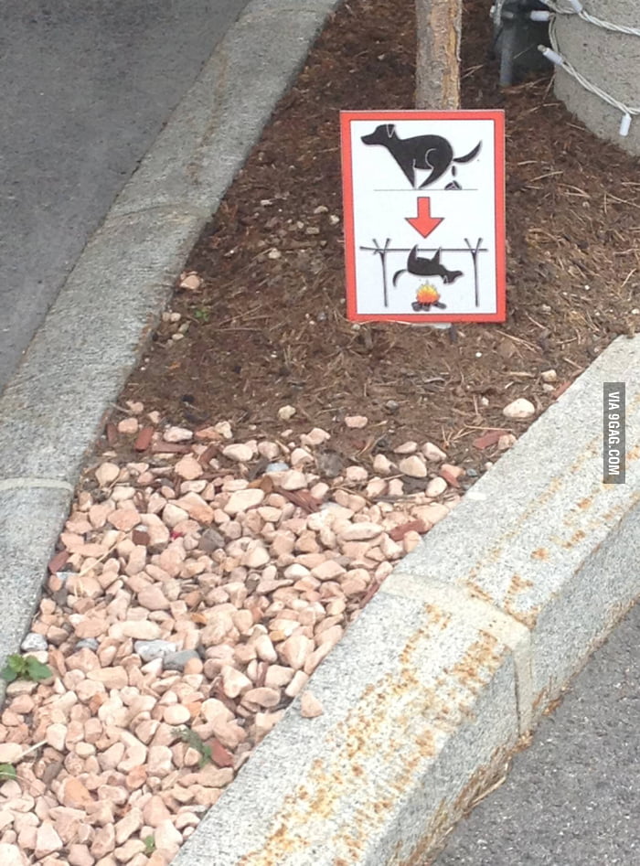 Watch out for your dog! - 9GAG