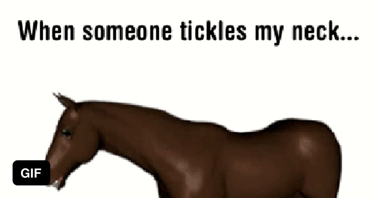When someone tickles my neck - 9GAG