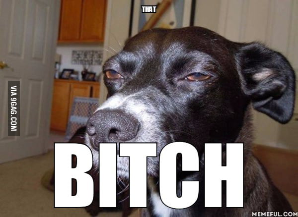 That B Tch 9gag