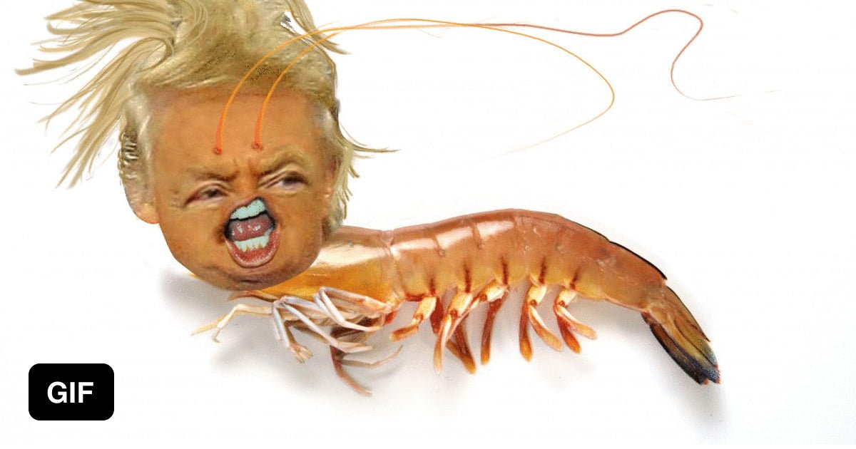 DONALD SHRIMP SHRIMPIN' ALONG - 9GAG