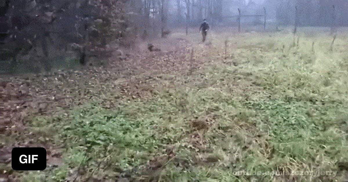 Wasted gifs are always awesome - 9GAG