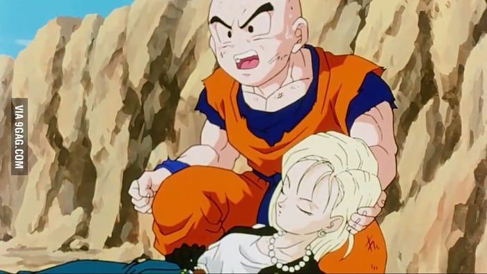 I like how during the Cell fight Krillin is still holding on to his Max Level Flesh Light. - 9GAG