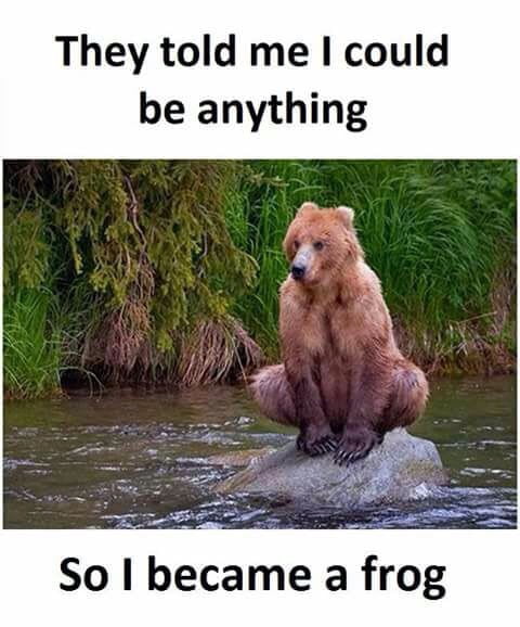 I'm a Slav frog - 9GAG