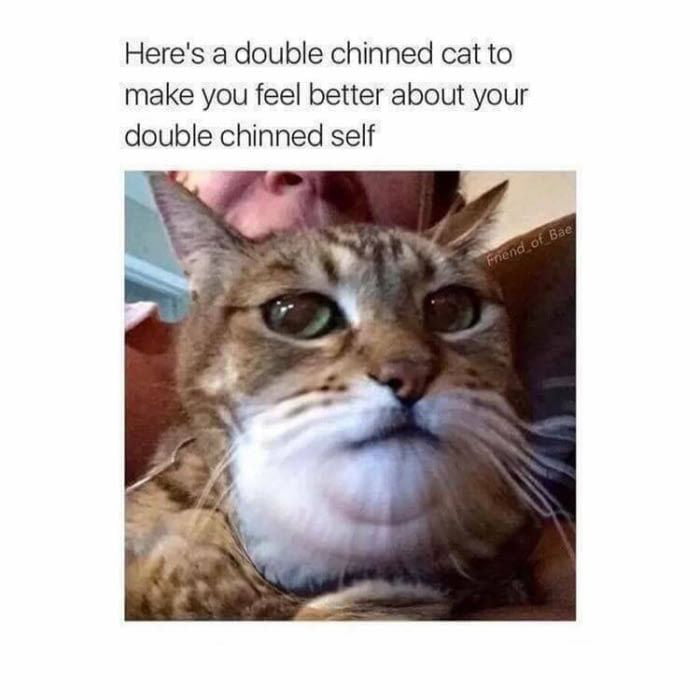 I am a below average girl living in Singapore that can't find any ...