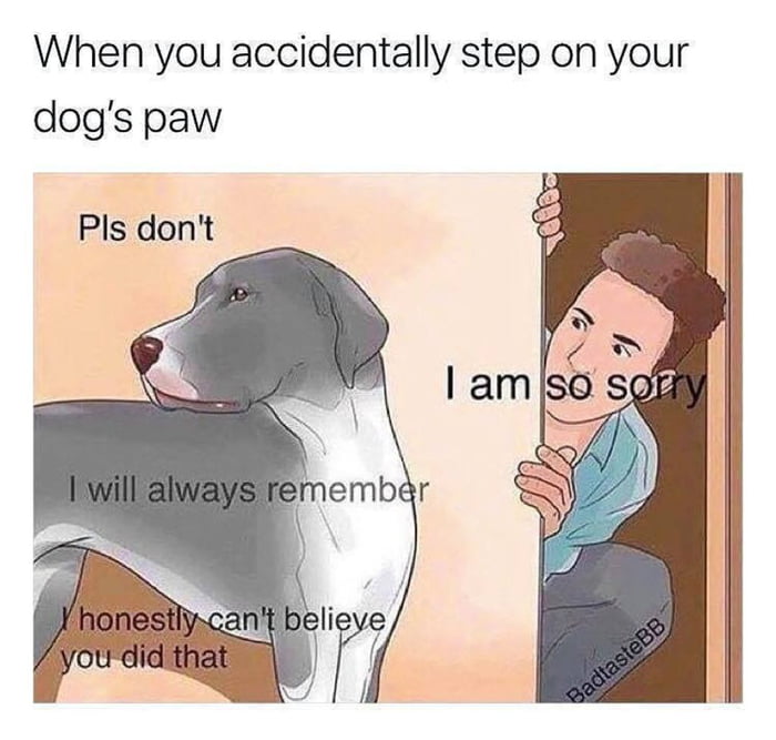 Can't even properly say sorry.. - 9GAG