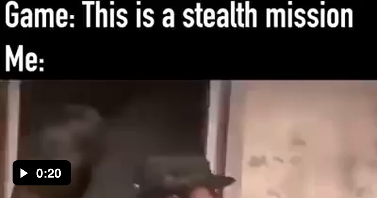 Stealth was NEVER an option... - 9GAG