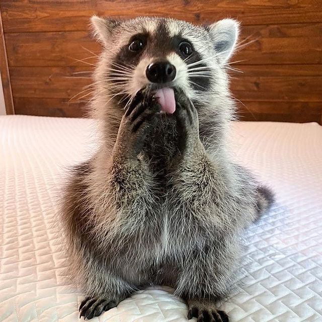 Lil goofball - 9GAG