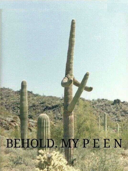 Cactus of culture - 9GAG