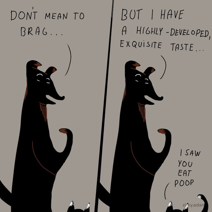 I make comics about my cat and dog because I’m a Doomer and it helps me ...