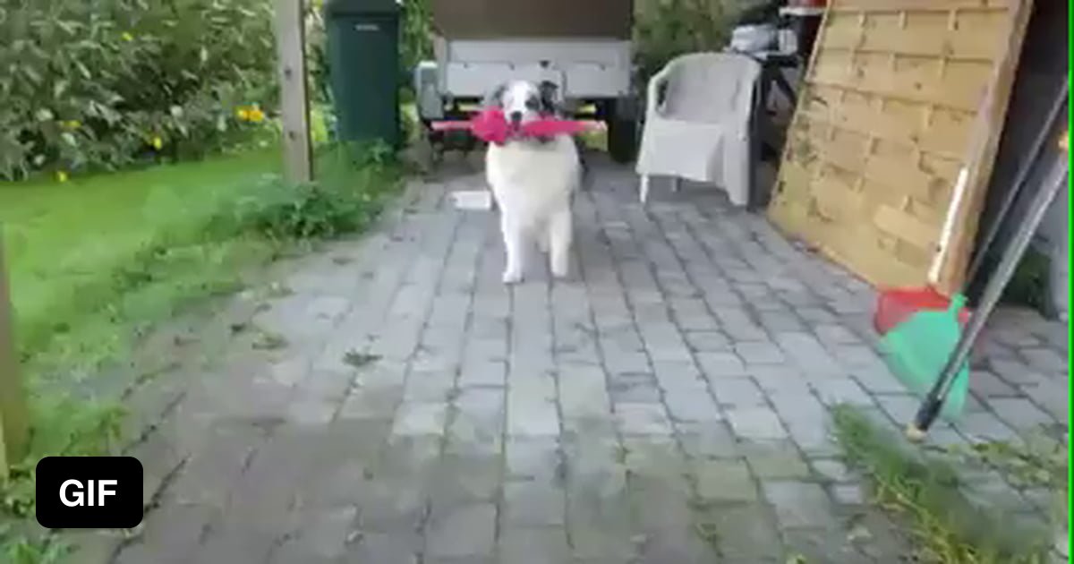 Little skipper - 9GAG