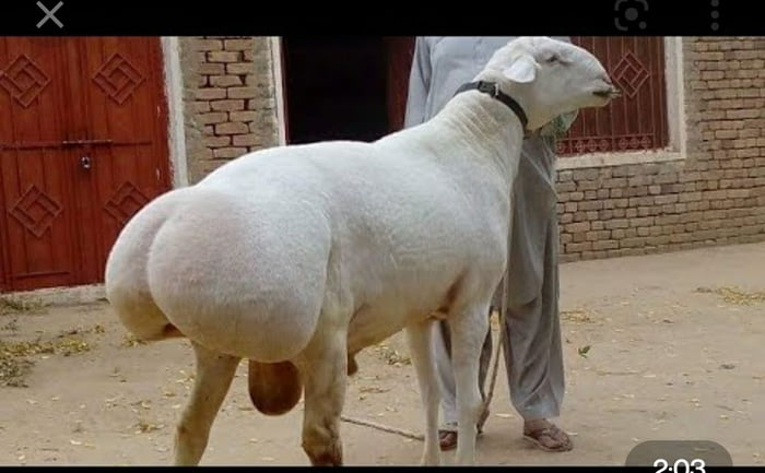 Kim Kardashian has so many talents - 9GAG