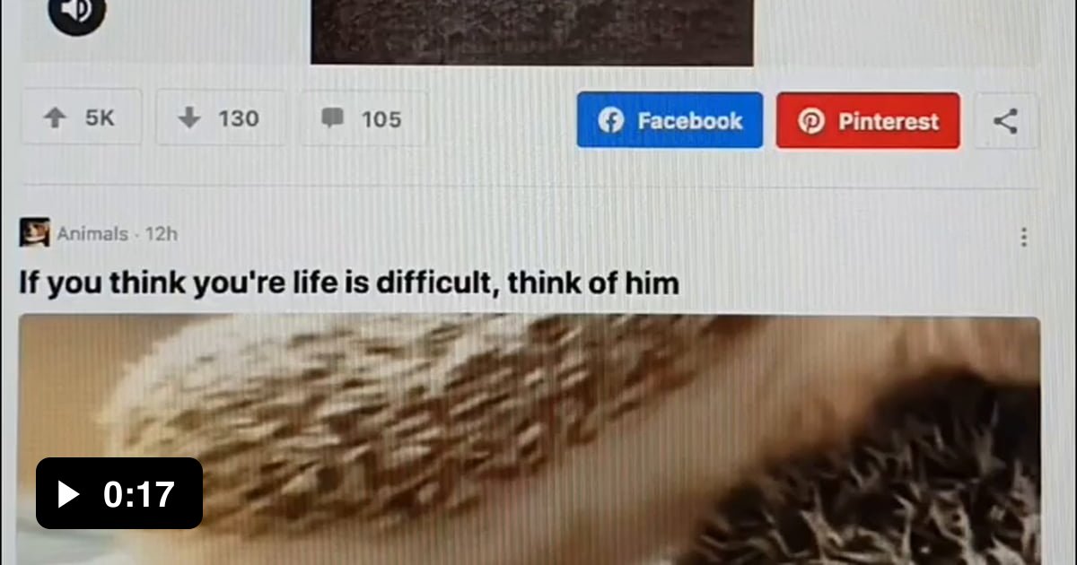 Why 9GAG? post placement - 9GAG