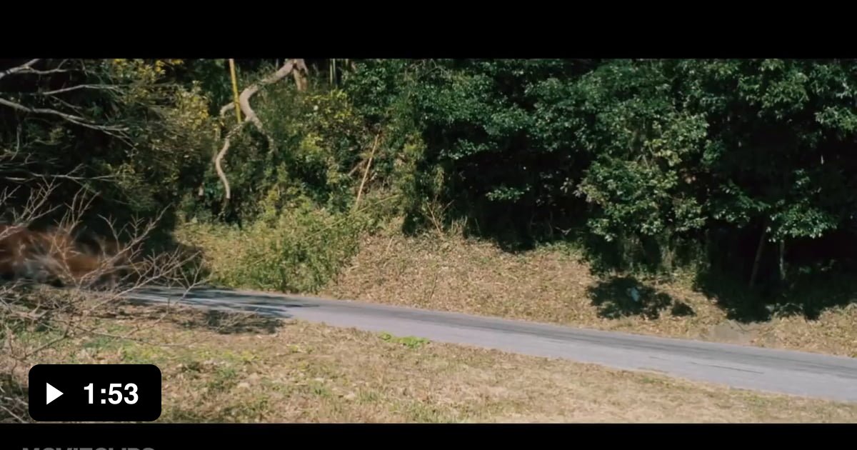 Han: life's simple ,you make choices and you don't look back - 9GAG