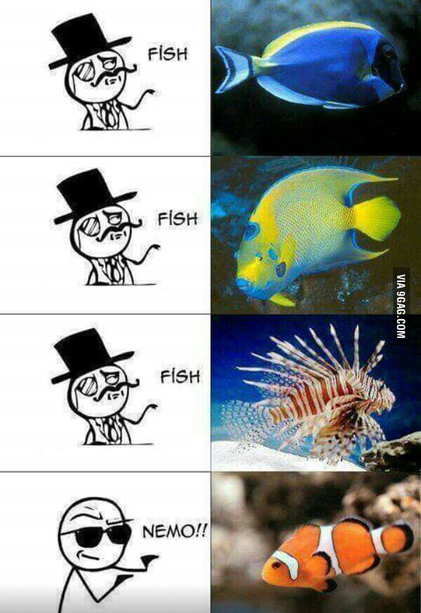 NEMO!! - 9GAG