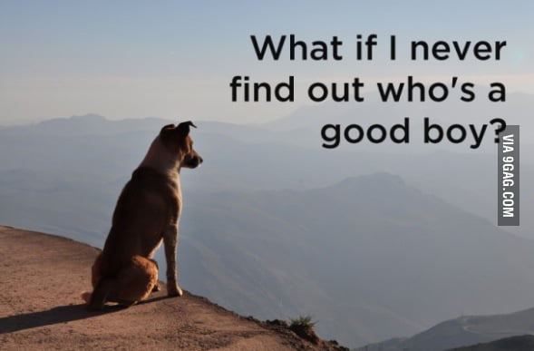 Deep Dog Thoughts... - 9GAG