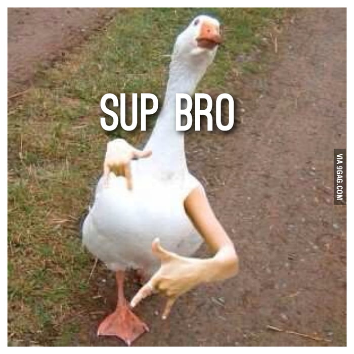 Sup Bro 👉 - 9GAG