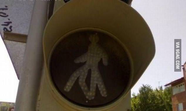 Octopus crossing - 9GAG