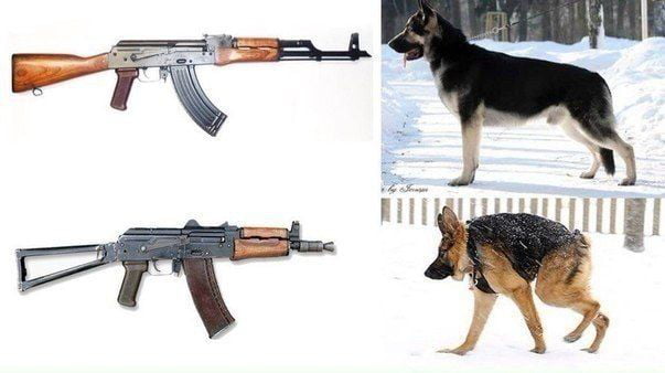 Ak47 vs Ak34,5 - 9GAG