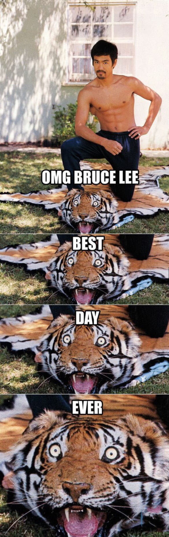 You lifen't but hey you met lee at least - 9GAG