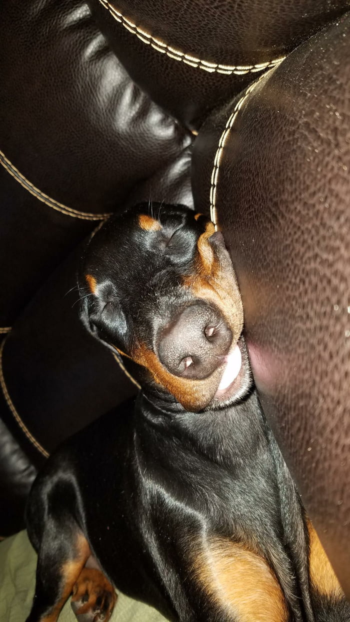 This week got me like - 9GAG