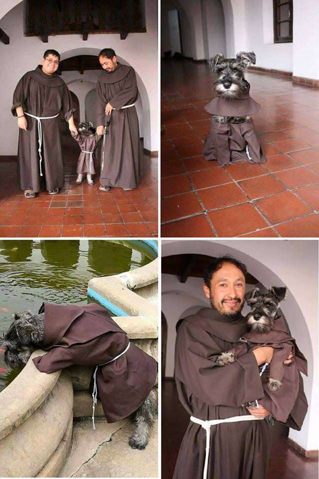 Brazilian monk adopted a dog and made him one of their own - 9GAG