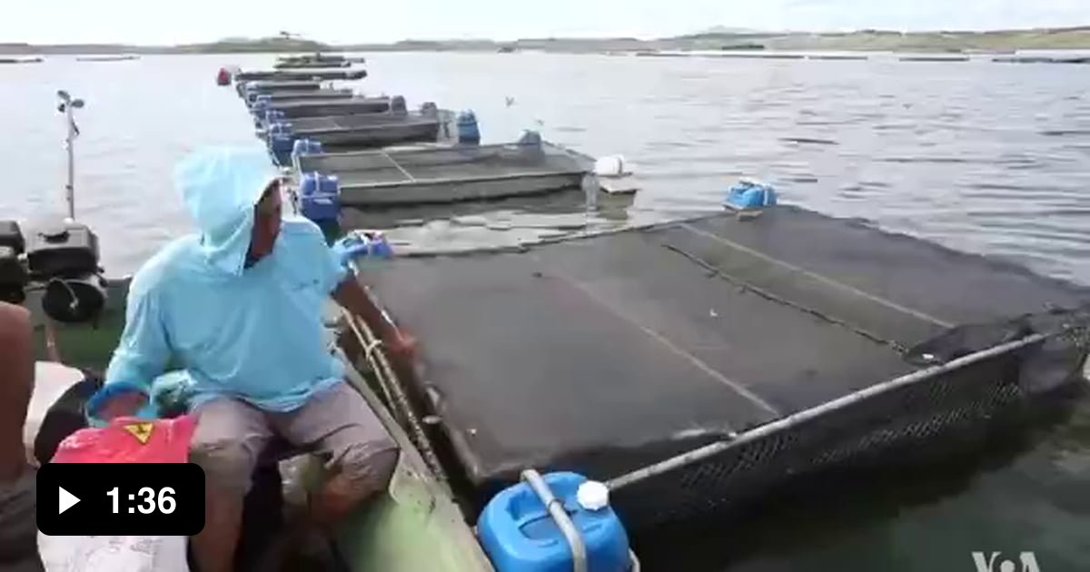 Fish is life. Life is fish. - 9GAG