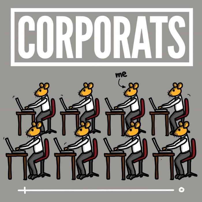A corporate rat (aka Corporat), one of many! Do you feel the same? - 9GAG