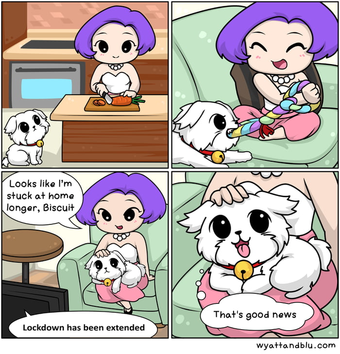 Dogs During Lockdown - 9GAG