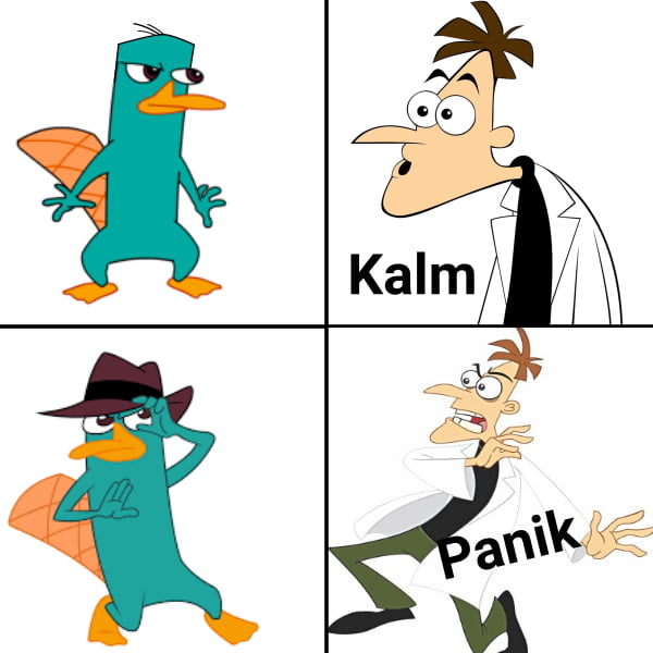 PERRY the platypus ?! - 9GAG