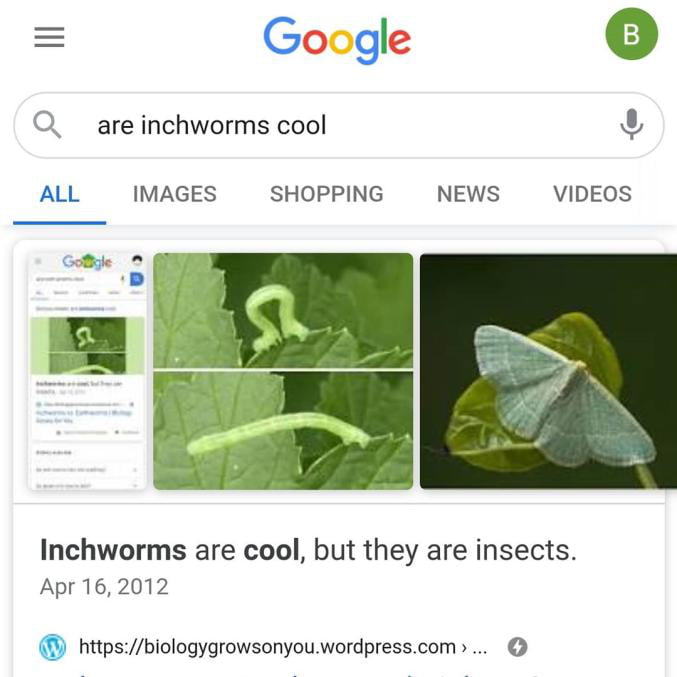 Are inchworms cool? - 9GAG