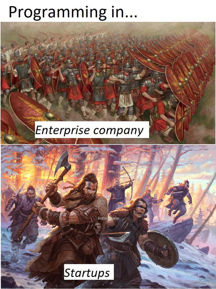 Programming : Enterprise Company vs Startups - 9GAG