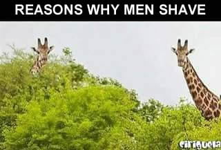 Why men shave, only some will get it - 9GAG