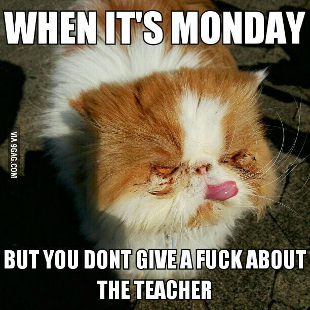 Every week starts like... - 9GAG