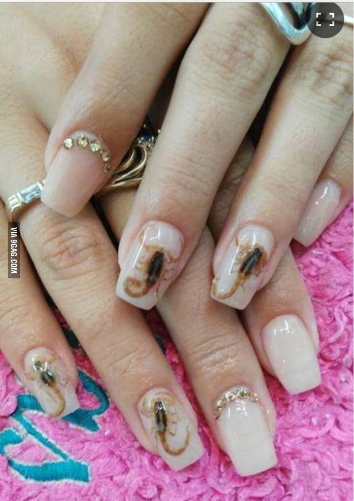 This is a trend in Mexico... Real scorpions in nails - 9GAG