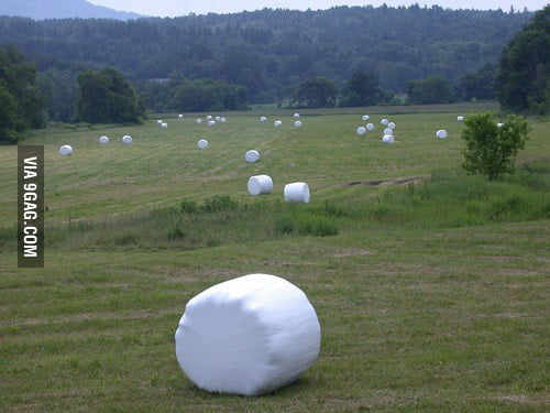 Uncle success: My nephews believe this is marshmallow farm... - 9GAG