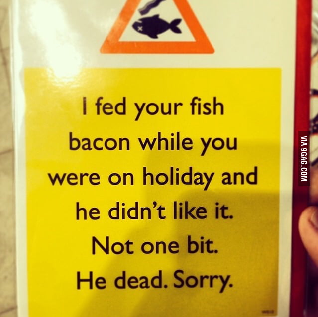 Poor fishy.... - 9GAG